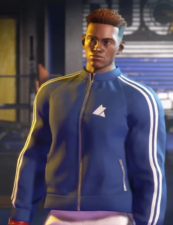 Avatar (Street Fighter) | Street Fighter Wiki | Fandom