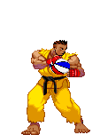Sean/Sprites | Street Fighter Wiki | Fandom