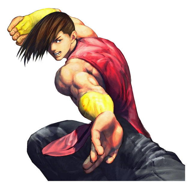 Yang | Street Fighter Wiki | Fandom
