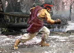 Solar Plexus Strike | Street Fighter Wiki | Fandom