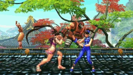 Frame | Street Fighter Wiki | Fandom