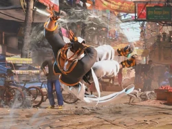 Crescent Kick | Street Fighter Wiki | Fandom