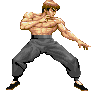 Fei Long/Sprites | Street Fighter Wiki | Fandom