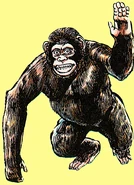 King Rasta Mon | Street Fighter Wiki | Fandom