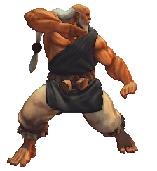Gouken/Sprites | Street Fighter Wiki | Fandom