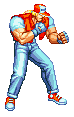 Terry Bogard/Sprites | Street Fighter Wiki | Fandom