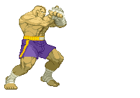 Tiger Raid | Street Fighter Wiki | Fandom