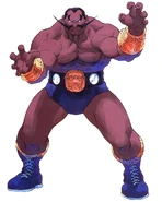 Darun Mister/Gallery | Street Fighter Wiki | Fandom