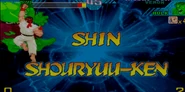 Shin Shoryuken | Street Fighter Wiki | Fandom