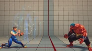 Kikosho | Street Fighter Wiki | Fandom