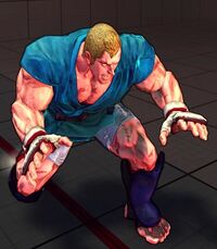 Sambo | Street Fighter Wiki | Fandom