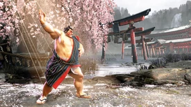 Sumo Spirit | Street Fighter Wiki | Fandom