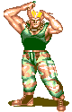 Guile/Sprites | Street Fighter Wiki | Fandom