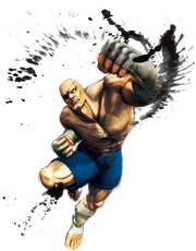 List of moves in Ultra Street Fighter IV H-Z | Street Fighter Wiki | Fandom