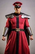 Street Fighter: Resurrection | Street Fighter Wiki | Fandom