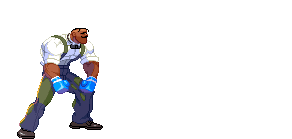 Counter Attacks | Street Fighter Wiki | Fandom