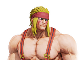 Category:Grapplers | Street Fighter Wiki | Fandom