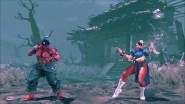 Misogi | Street Fighter Wiki | Fandom