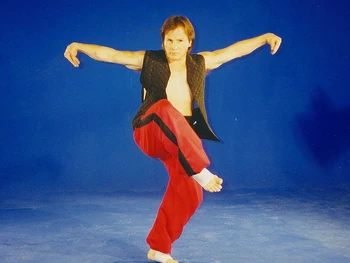 Raven | Street Fighter Wiki | Fandom