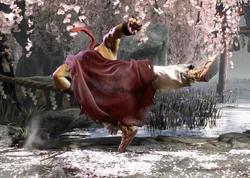 Senpukyaku | Street Fighter Wiki | Fandom