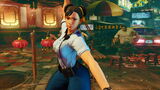 Police | Street Fighter Wiki | Fandom
