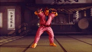 Legendary Taunt | Street Fighter Wiki | Fandom