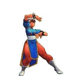 Fighting Sprite Animation
