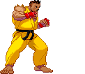 Sean/Sprites | Street Fighter Wiki | Fandom