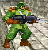 Fortress Guard | Strider Wiki | Fandom