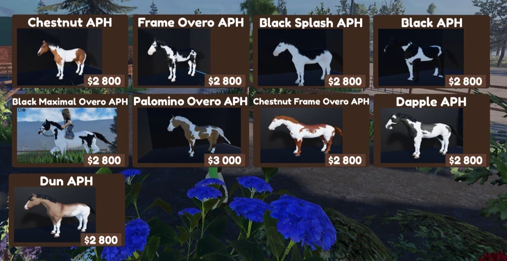 APH | Strideway Wiki | Fandom