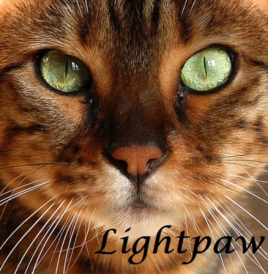 Lightpaw | StrikeClan Fanfiction Wiki | Fandom