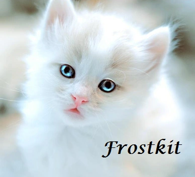Frostkit | StrikeClan Fanfiction Wiki | Fandom