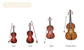 Viola | Stringed Instruments Wiki | Fandom