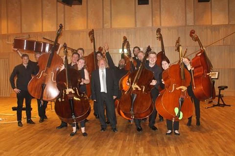 Double Bass | Stringed Instruments Wiki | Fandom