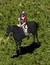 Horse archer/Stronghold Crusader | Stronghold Wiki | Fandom