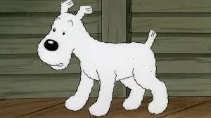 Struppi | Tim und Struppi Wiki | Fandom