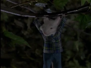 Stuart Little/Gallery | Stuart Little Wiki | Fandom