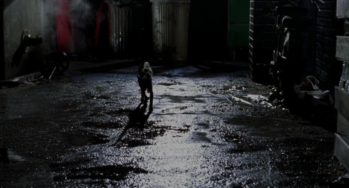 Lucky | Stuart Little Wiki | Fandom