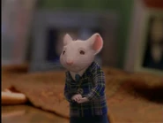 Stuart Little/Gallery | Stuart Little Wiki | Fandom