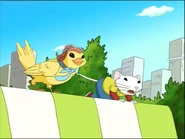 Margalo | Stuart Little Wiki | Fandom