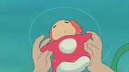 Ponyo (character) | Ghibli Wiki | Fandom