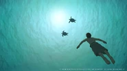 The Red Turtle | Ghibli Wiki | Fandom