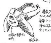 Shohki Mask | Ghibli Wiki | Fandom