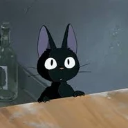 Jiji/Gallery | Ghibli Wiki | Fandom