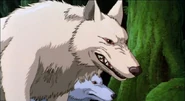 Moro | Ghibli Wiki | Fandom