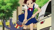The Cat Returns | Ghibli Wiki | Fandom
