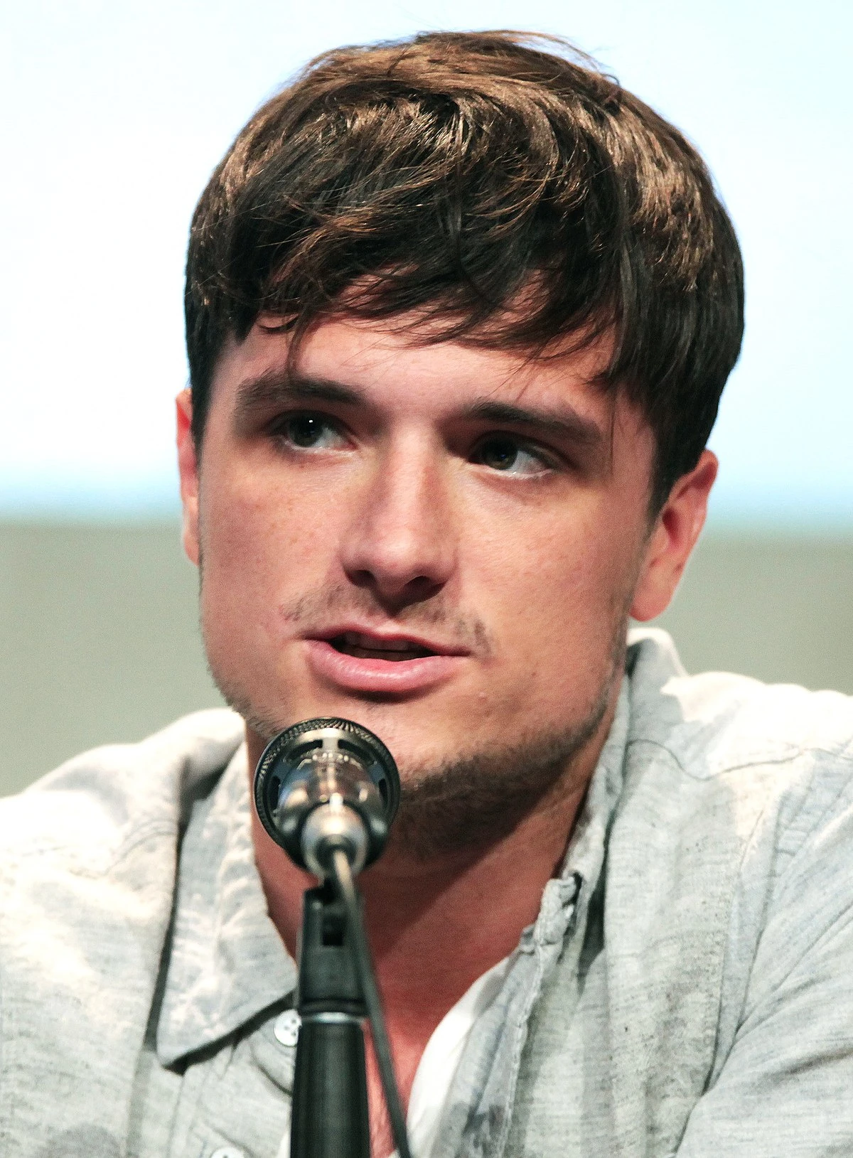 Josh Hutcherson | Ghibli Wiki | Fandom