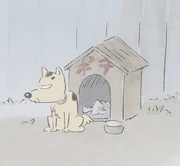 Pochi | Wiki Studio Ghibli | Fandom