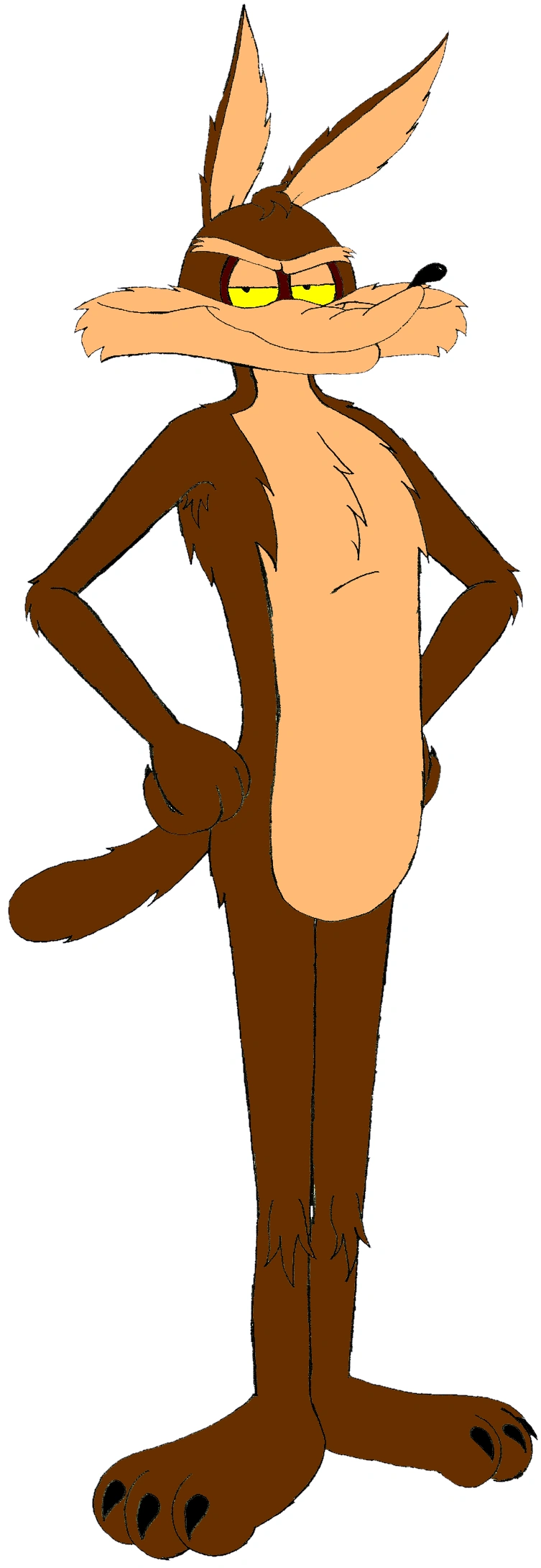 Wiley | Stuff I Write Wiki | Fandom