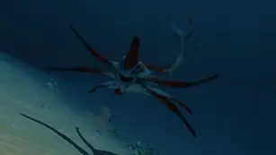 List of Leviathan-Class creatures in Subnautica | Stuff 'n' Things Wiki ...